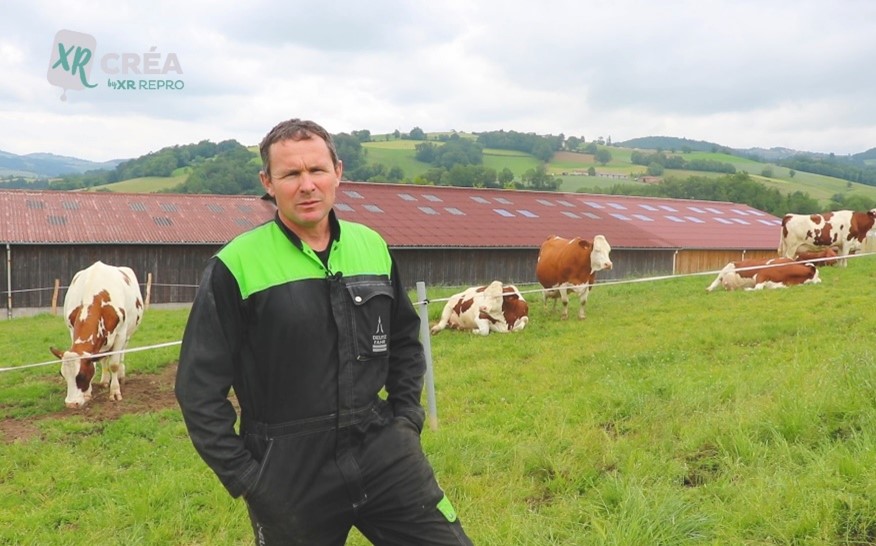 Sécuriser le bilan fourrager grâce à la longévité du troupeau